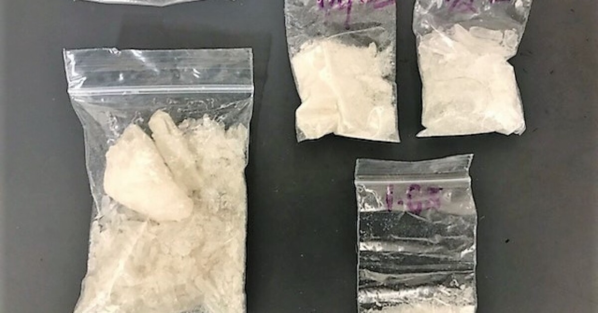 Deputies Traffic Stop Turns Into Drug Bust